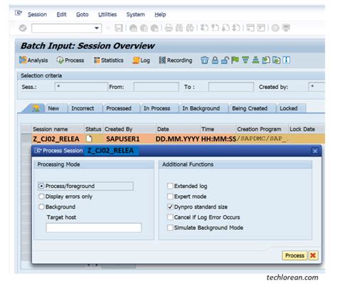 Lsmw For Beginner Sap Functional Consultants Detailed Step By Step Procedure Batch Input