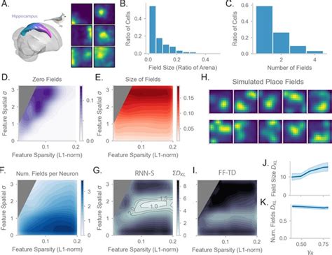 Neural Learning Rules For Generating Flexible Predictions And Computing The Successor