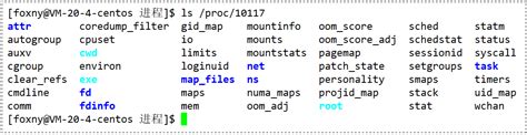 【看表情包学linux】 11 进程的概念 进程控制块 pcb 父进程与子进程 进程 id task struct 子进程