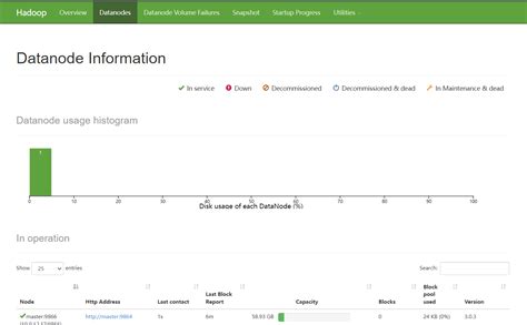 centos7云服务器搭建伪分布式hadoop 3 0 3 192 168 10 100 9870 csdn博客