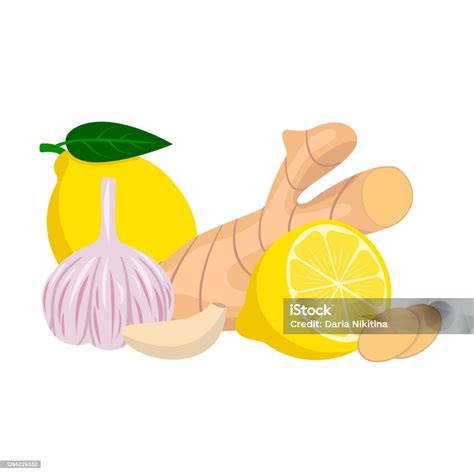 벡터 세트 녹색 잎 마늘 전구와 생강 뿌리와 노란색 레몬 건강을 보호하기 위한 식품 설계 흰색 배경에 고립 된 과일과 야채 스톡 벡터 일러스트레이션 0명에 대한 스톡 벡터
