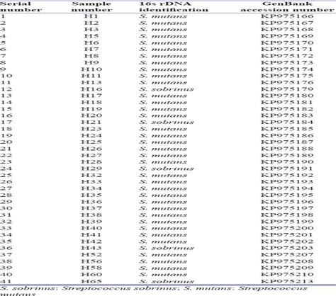 Isolation And Typing Of Streptococcus Mutans And Streptococc