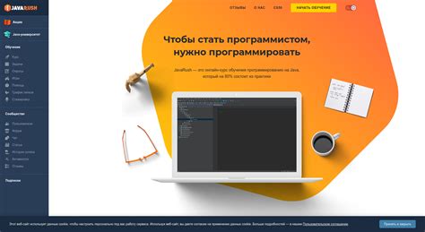 Оплата Javarush из России Поможем оплатить Сервис оплаты Remoney