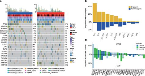 Profiling Of Prevalent Somatic And Actionable Alterations In Chinese