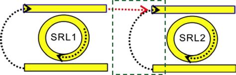 Synchronization Schemes Of Open Loop Srl2 Without Feedback Displayed Download Scientific