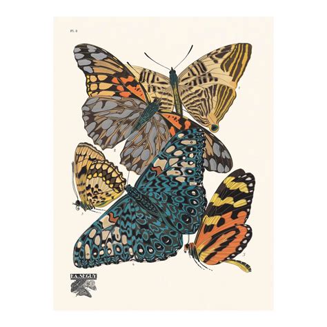 Papillons Butterflies Giclee Reproduction Art Print By Emile Allain