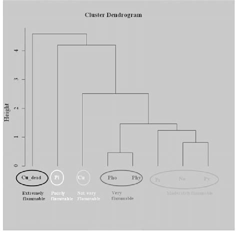 dendrogram of hierarchical cluster analysis based on the leaf