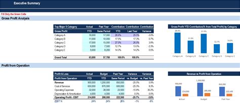 Executive Financial Summary Excel With Power Point Template Eloquens