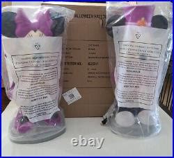 Gemmy Disney Mickey Mouse And Minnie Mouse Halloween Blow Mold Some