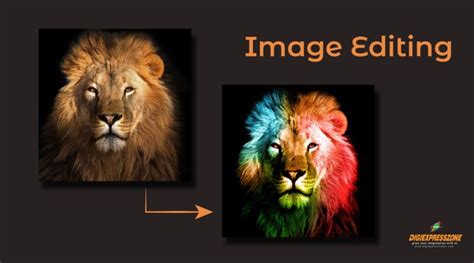 🌐 Mohammed Raihan Chowdhury