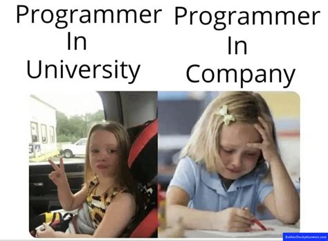 Programmer In University Vs Programmer In Company Rprogrammerhumor