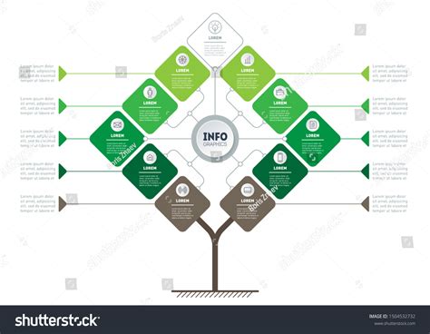 Timeline Infographics Tree Development Growth Eco Stock Vector Royalty Free 1504532732