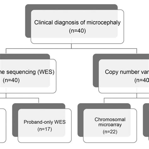 Flow Chart Of Genomic Analysis Of Microcephaly Download Scientific