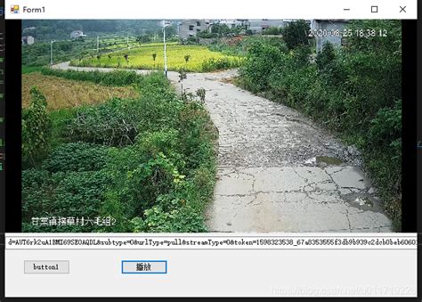 winform下使用vlc插件播放rtsp流 c vlc 播放 rtsp csdn博客