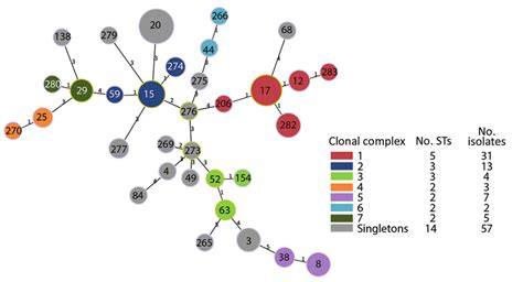 Minimum Spanning Tree Representing The Genetic Relatedness Of