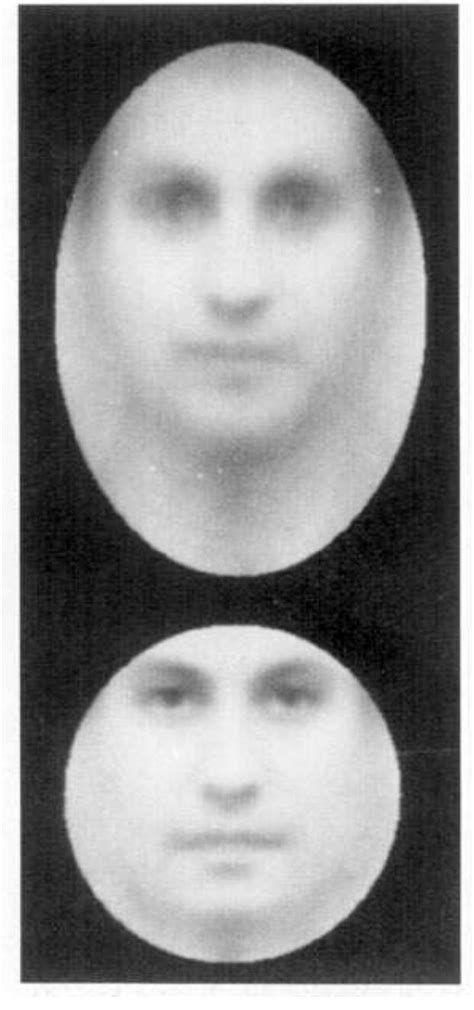 Figure 4 Conformal Mapping Based Image Processing Theory