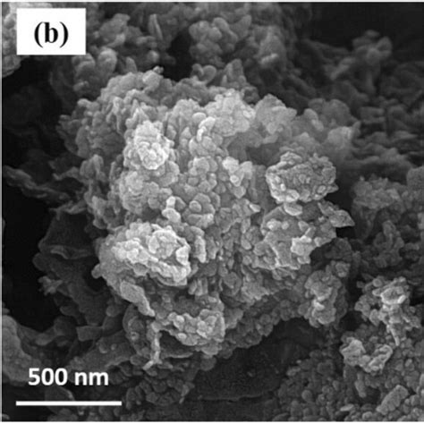 FE SEM Images Of A G C3N4 B Ag G C3N4 And C Ni G C3N4 Download Scientific Diagram