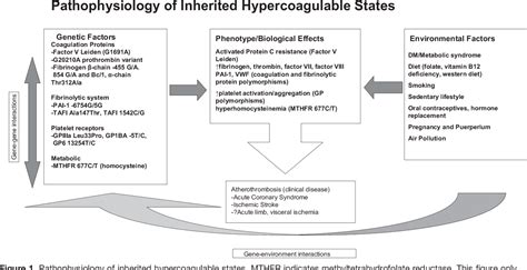 Figure 1 From Hypercoagulable States In Cardiovascular Disease Semantic Scholar