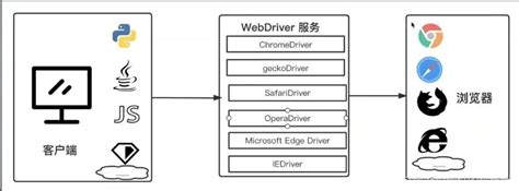 Selenium自动爬取网页数据Python实现 郝hai 博客园