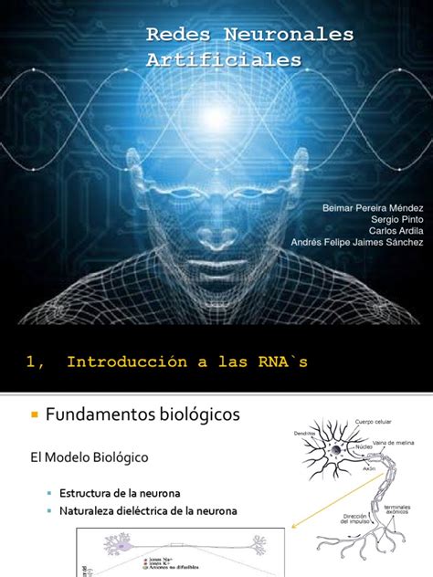 Expo Redes Neuron Ales Artificiales Pdf Neurona Red Neuronal