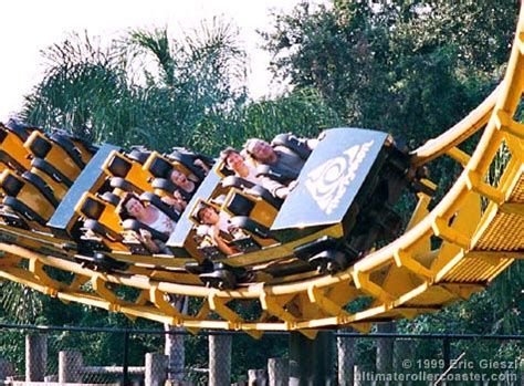 Python Busch Gardens Africa
