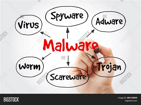 Malware Mind Map Image And Photo Free Trial Bigstock