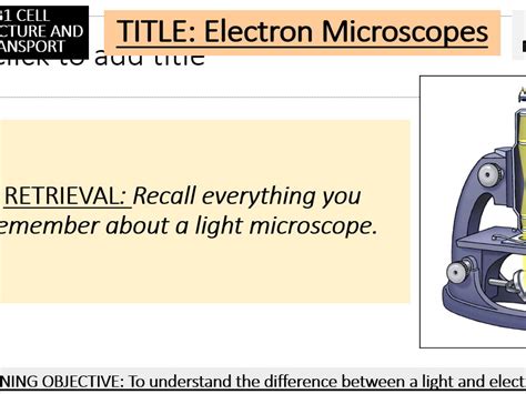 Electron Microscopes And Magnification Teaching Resources