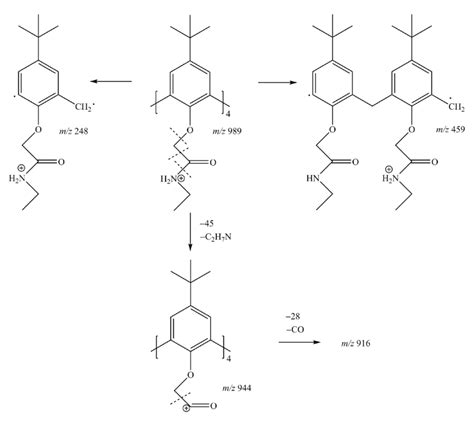 Scheme 3 Proposed Fragmentation Pathway Of Protonated Molecule 2h