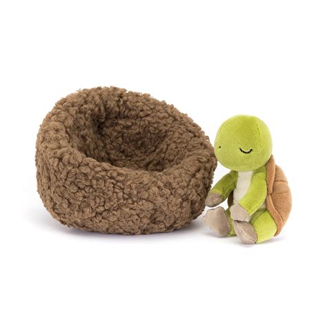 Hibernating Turtle