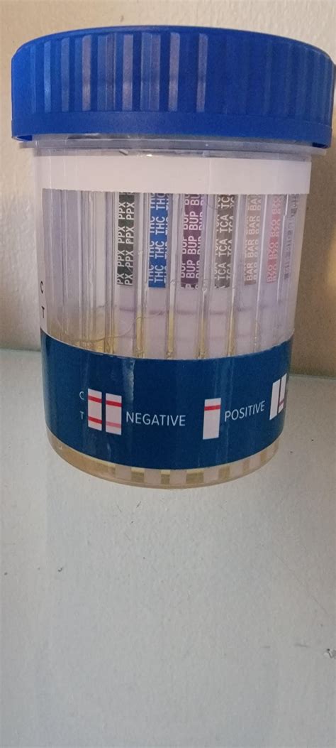 Taking A Labcorp Drug Test For Nursing School Will I Pass R Drugtests