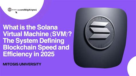 What Is The Solana Virtual Machine Svm The System Defining Blockchain Speed And Efficiency In