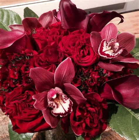 Best Images About Dark And Sexy Flowers Etc Accents On Pinterest Gardens Beautiful And