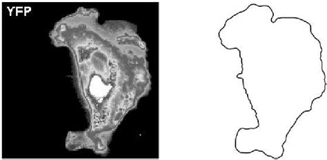 Figure 1 From A Cut Cell Method For Simulating Spatial Models Of
