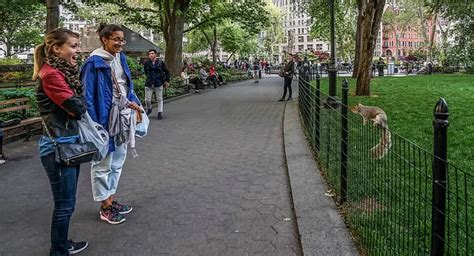 Extra Extra What Its Like Inside An Elite Hamptons Sex Party Gothamist