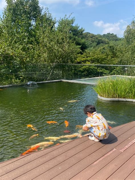 아이랑 가기 좋은 화성 롤링힐스 호텔 숙소 조식 수영장 부대시설 네이버 블로그