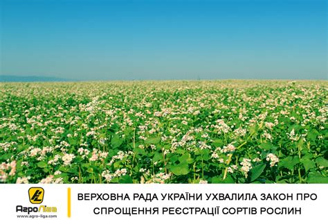 Верховна Рада України ухвалила закон про спрощення реєстрації сортів рослин Агроліга