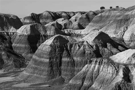 Your Pictures On The Theme Of Monochrome Bbc News