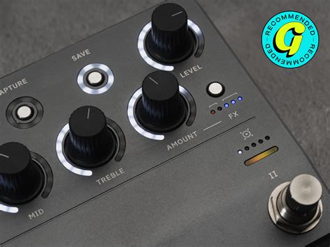 Neural Dsp Archetype Plini X Plugin