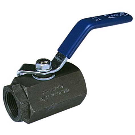 T 580 Cs R 25 Two Piece Carbon Steel Ball Valve Conventional Port