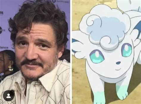 Same Energy 🥹 R Pedro Pascal