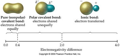 The Diagram Shows How Different Types Of Bonds Are Present In Each Type Of Bond Structure