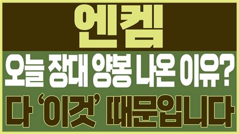 엔켐 주가전망 🚨긴급🚨오늘 장대 양봉 나온 이유는 🔥🔥🔥 다 이것 때문이었네요 전해액 2차전지 박순혁 선대인tv Youtube