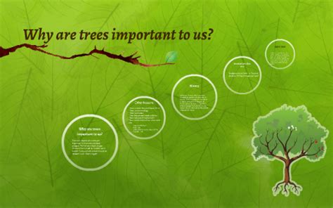 Why Trees Are Important