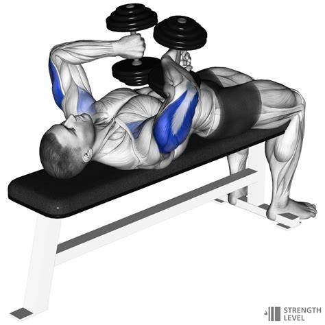 Tate Press Standards For Men And Women Kg Strength Level