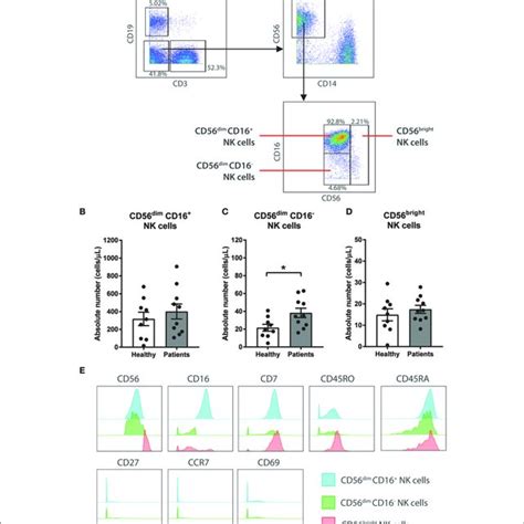 Identification Of Nk Cells In Human Pbmc Human Pbmc Are Stained And Download Scientific