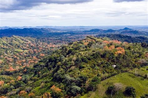 Things To Do In El Seibo The Essentials In Your Travel Plan