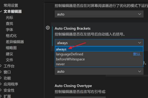 Vscode怎么设置自动插入右括号 系统屋