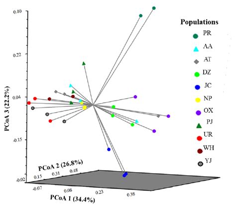 Three Dimensional Principal Coordinate Analysis 3d Pcoa Of 10 Download Scientific Diagram