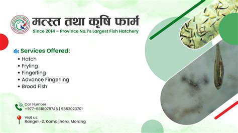 Smart Data Solutions With Smart Data Solutions New Virtual Mailroom