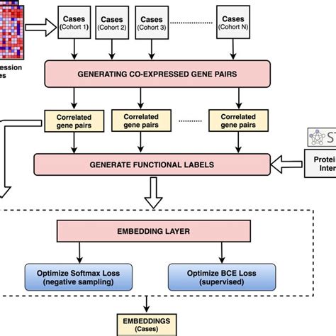 Schematic Representation Of Our Workflow One Or More Gene Expression Download Scientific